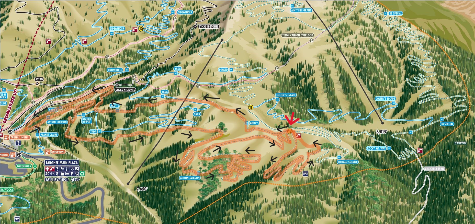 Wildflower Run | Grand Targhee