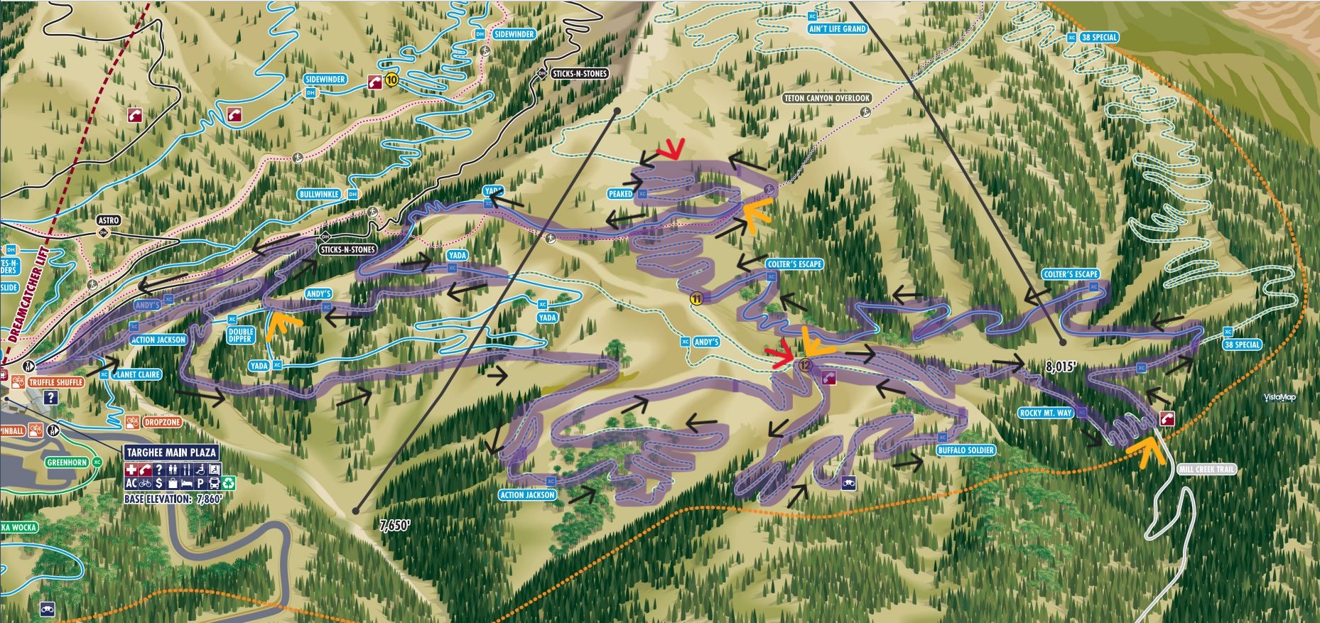 Wildflower Run | Grand Targhee